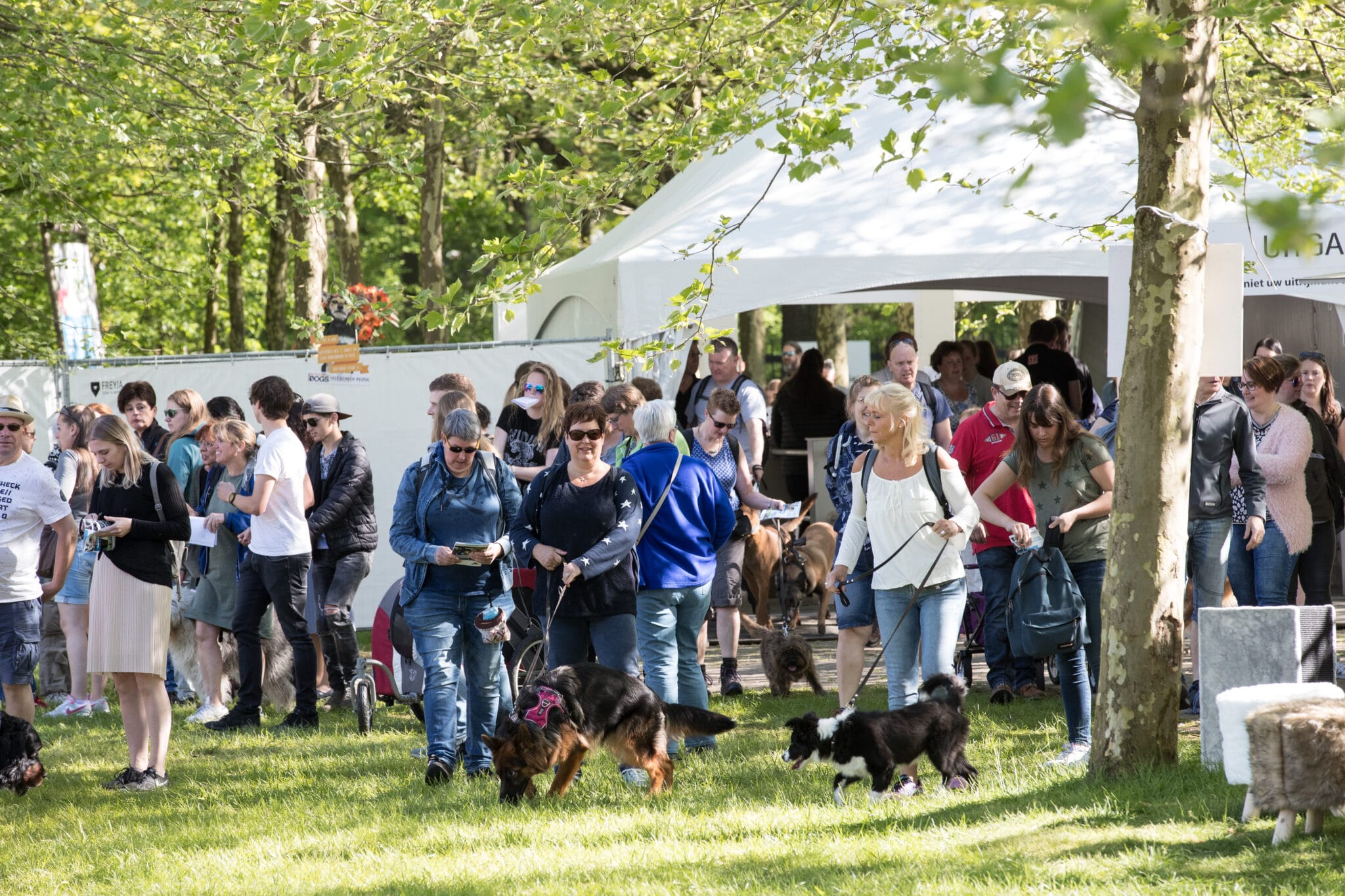 Animal Event: hét festival voor dierenfans - The Dog Pen