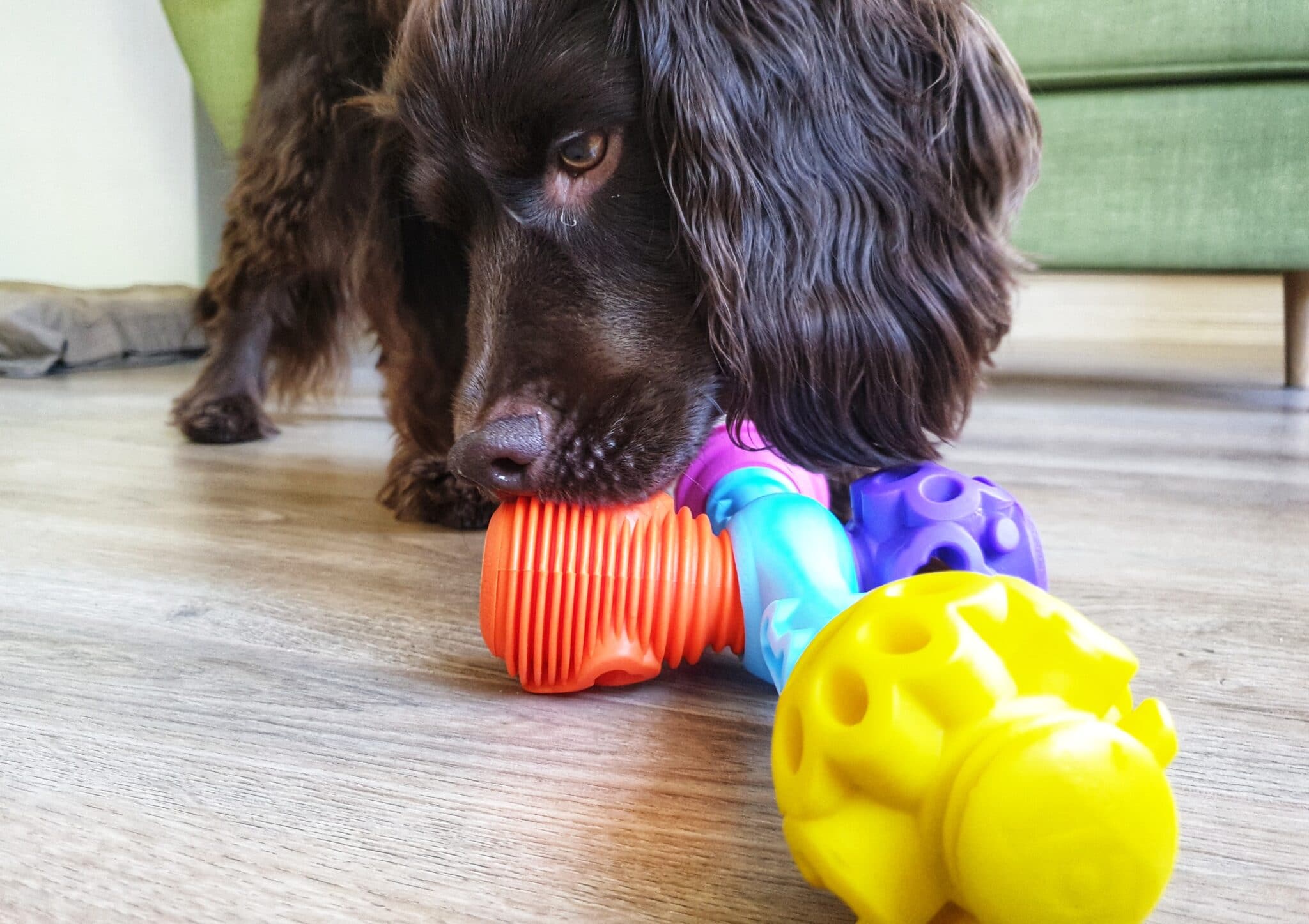 K9 Connectables Review - The Dog Pen - Wiske Working Cocker