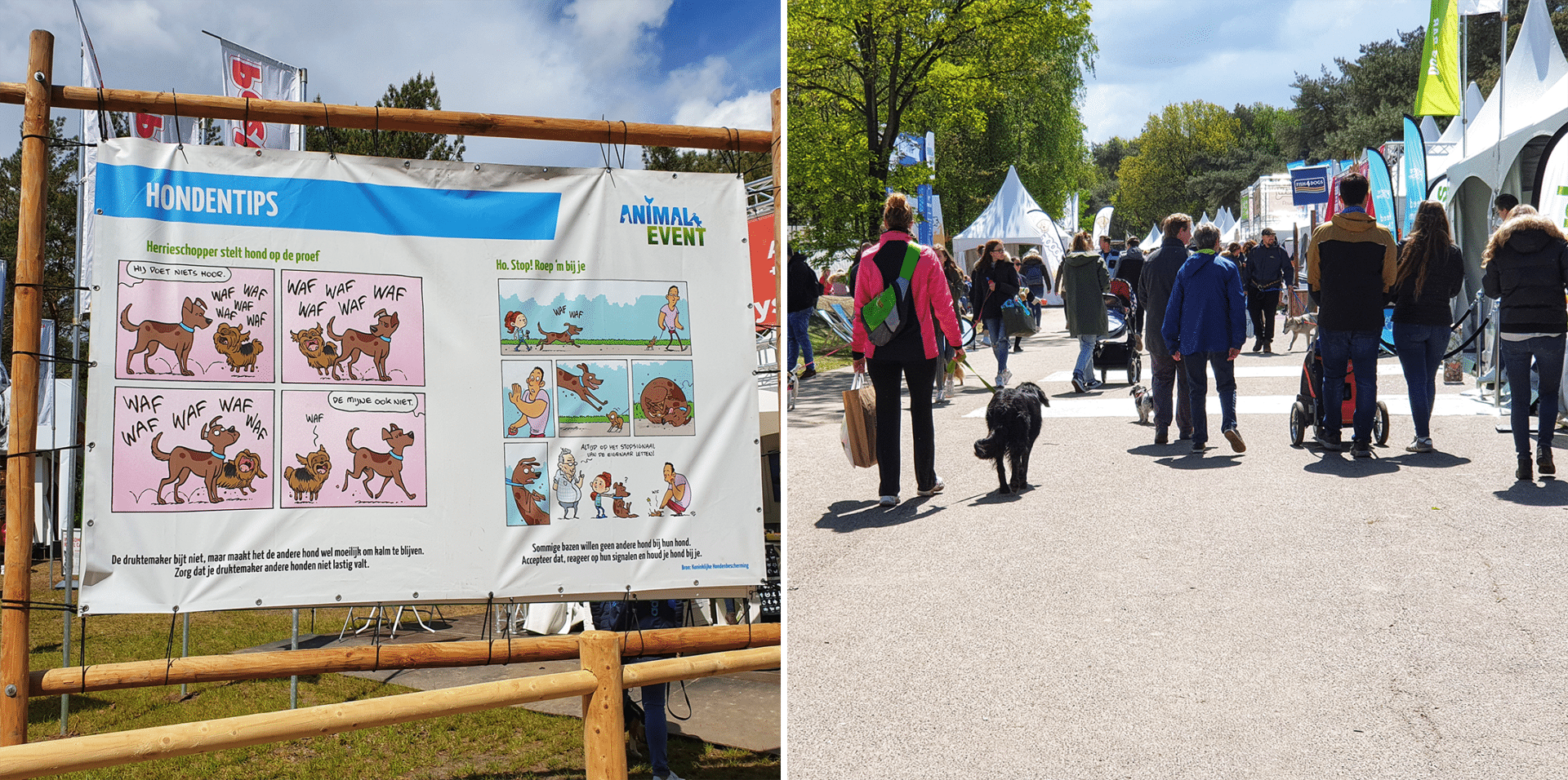 Animal Event 2019 - The Dog Pen - Wiske Working Cocker