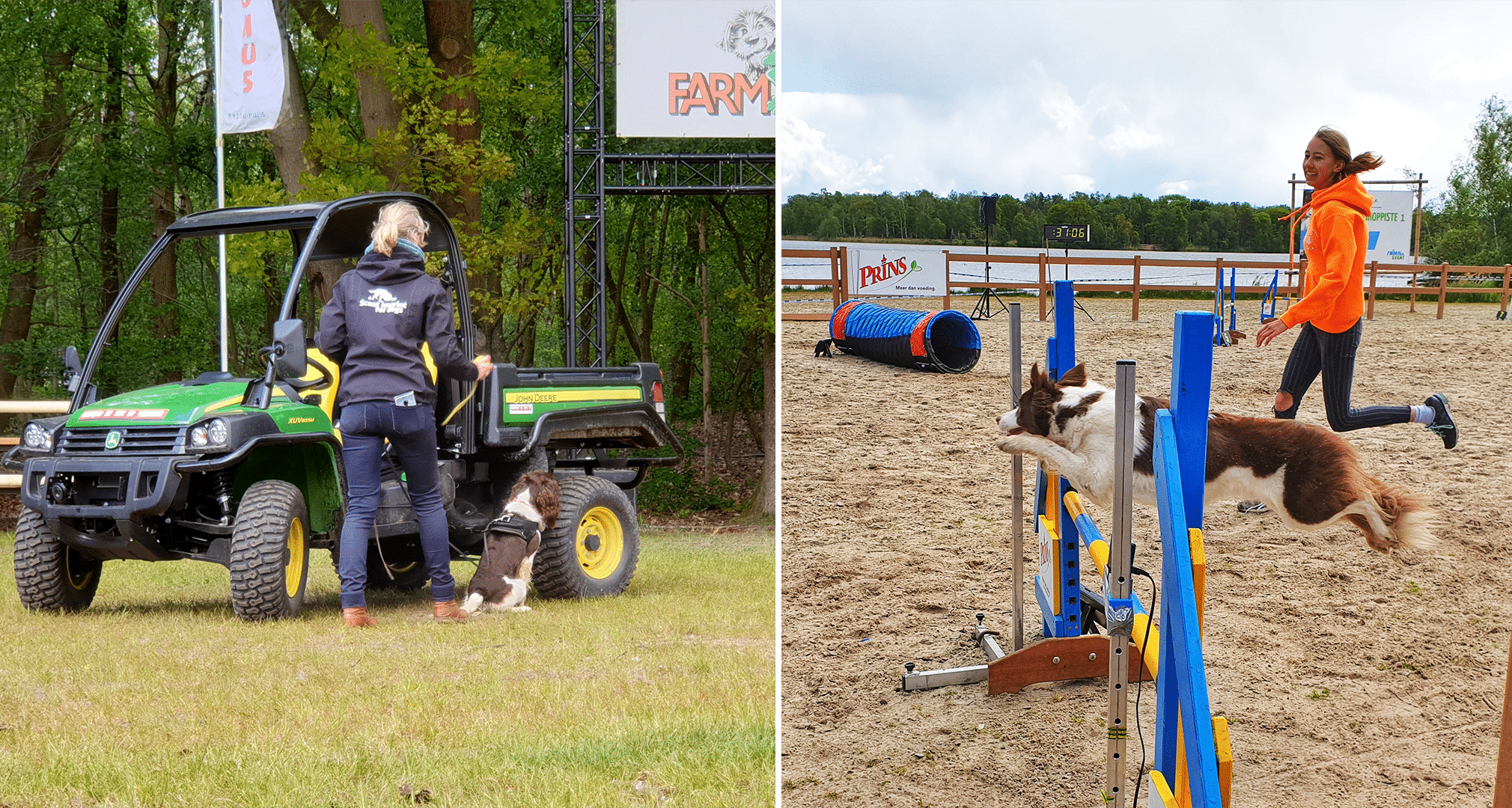 Animal Event 2019 - The Dog Pen - Wiske Working Cocker