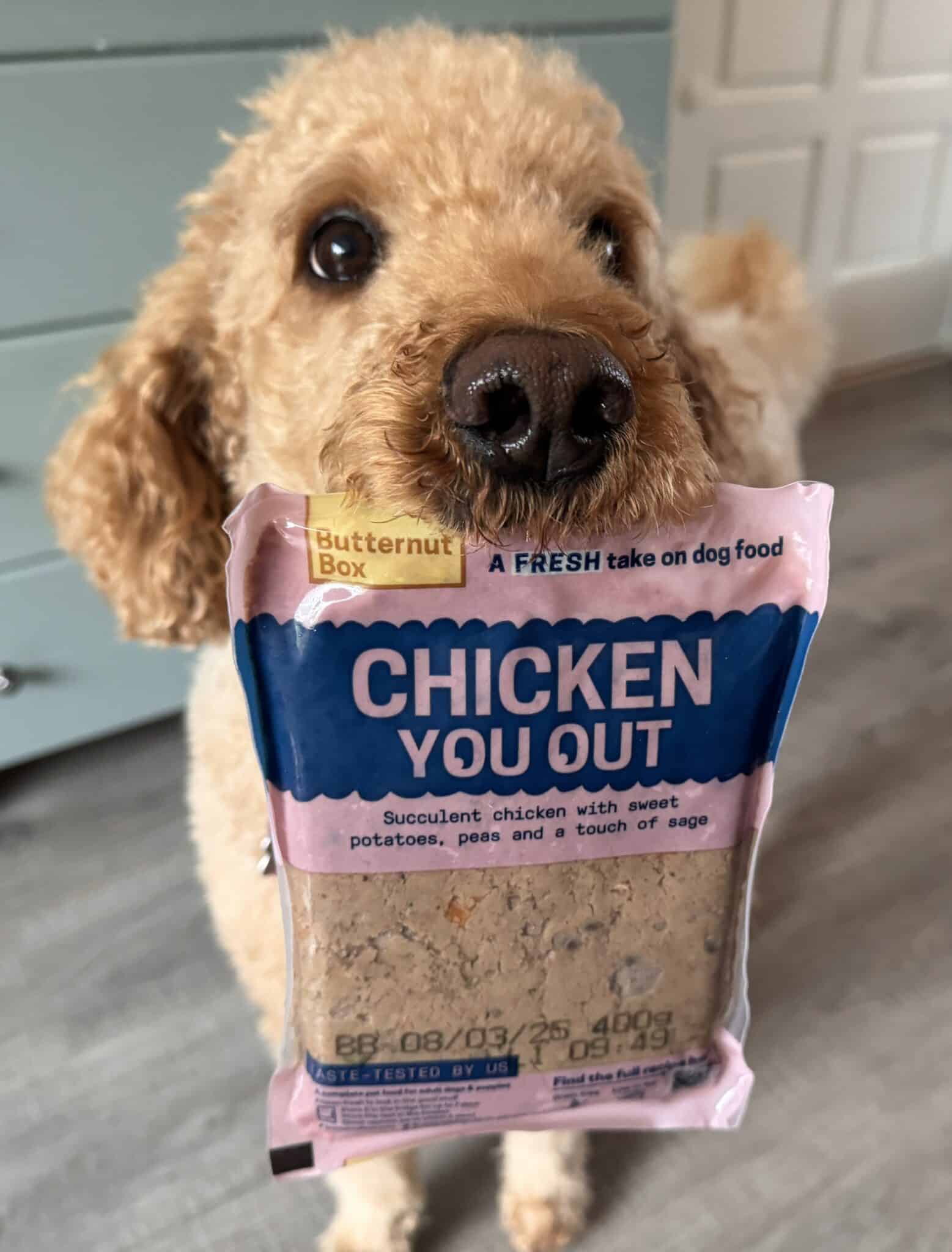 Productreview - Ik test de Butternut Box! - The Dog Pen