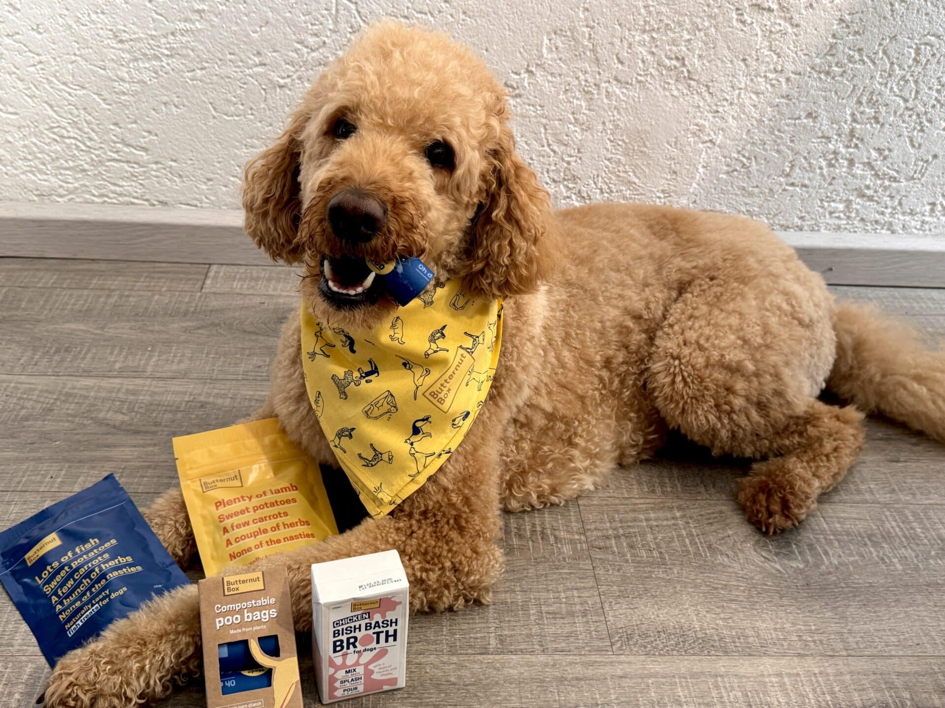 Productreview - Ik test de Butternut Box! - The Dog Pen