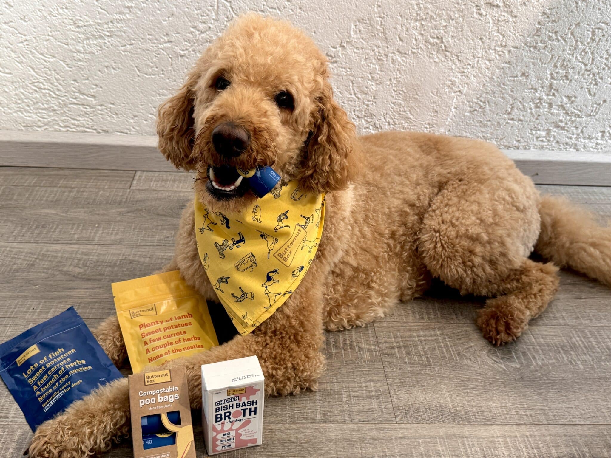 Productreview - Ik test de Butternut Box! - The Dog Pen